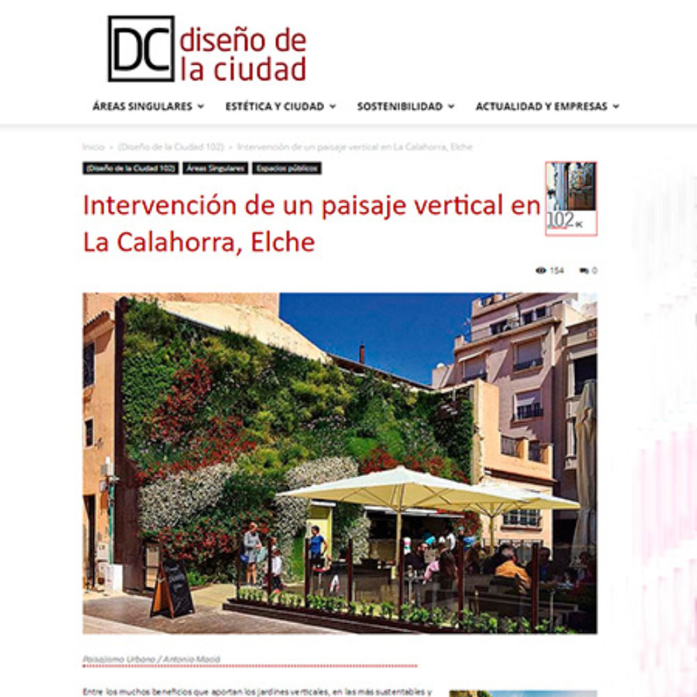 Intervención en La Calahorra, Elche | Ignacio Solano